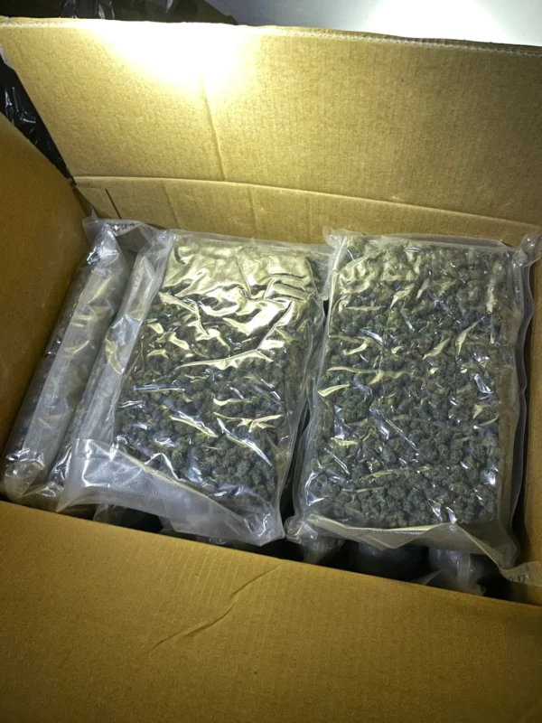 Pound Of Weed - Smoke Shop Near Me